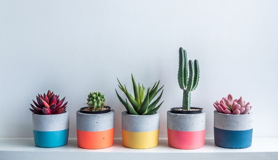 Ghivece decorative: 20 de modele DIY pe care le poți face acasă